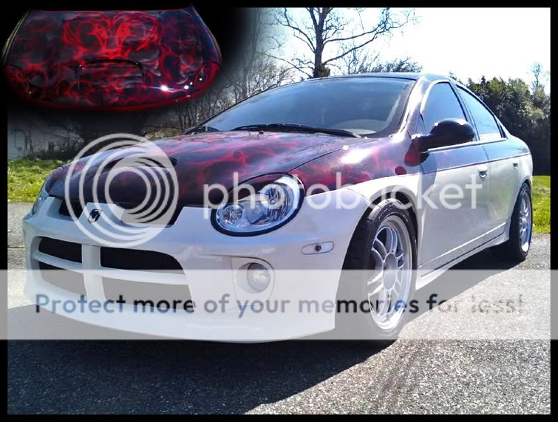 Custom colored SRT-4's | Dodge SRT Forum