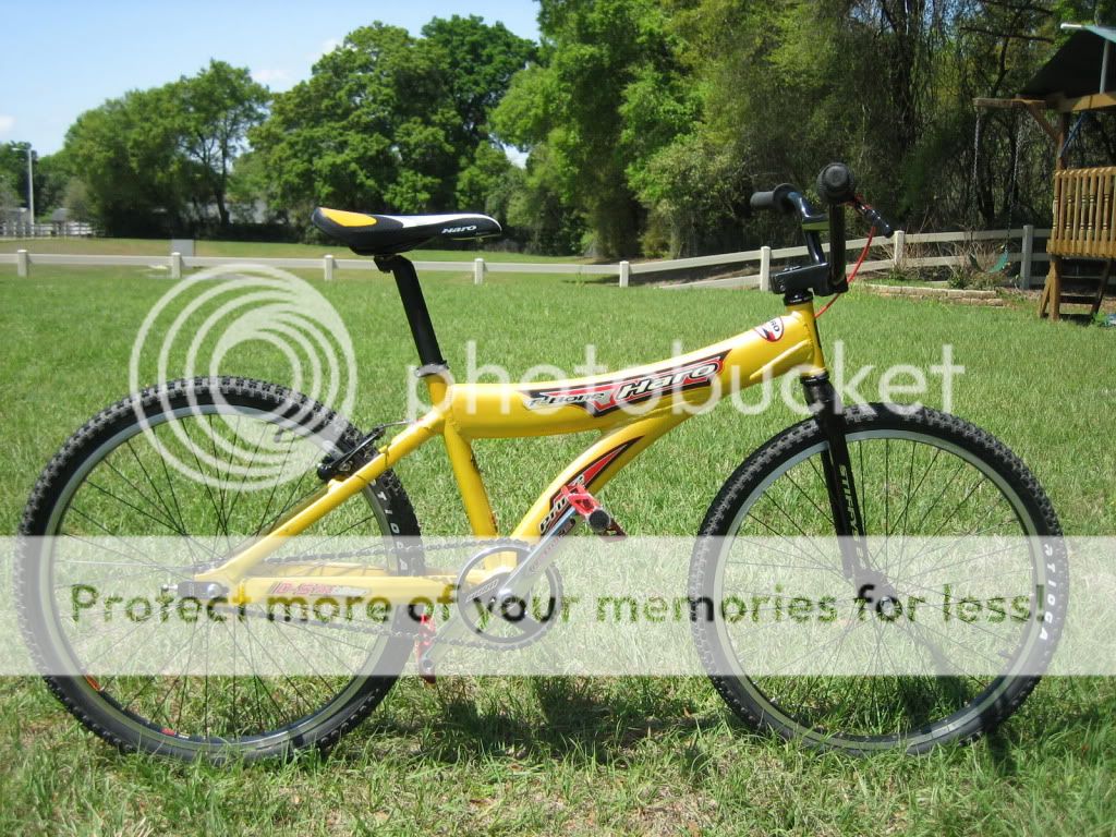 I have been seeing a lot of post about color so lets see YELLOWS ...