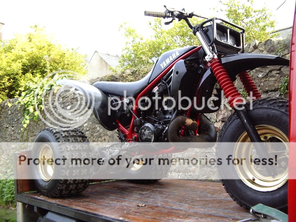 Let's see those TRI-Z's! - Page 2